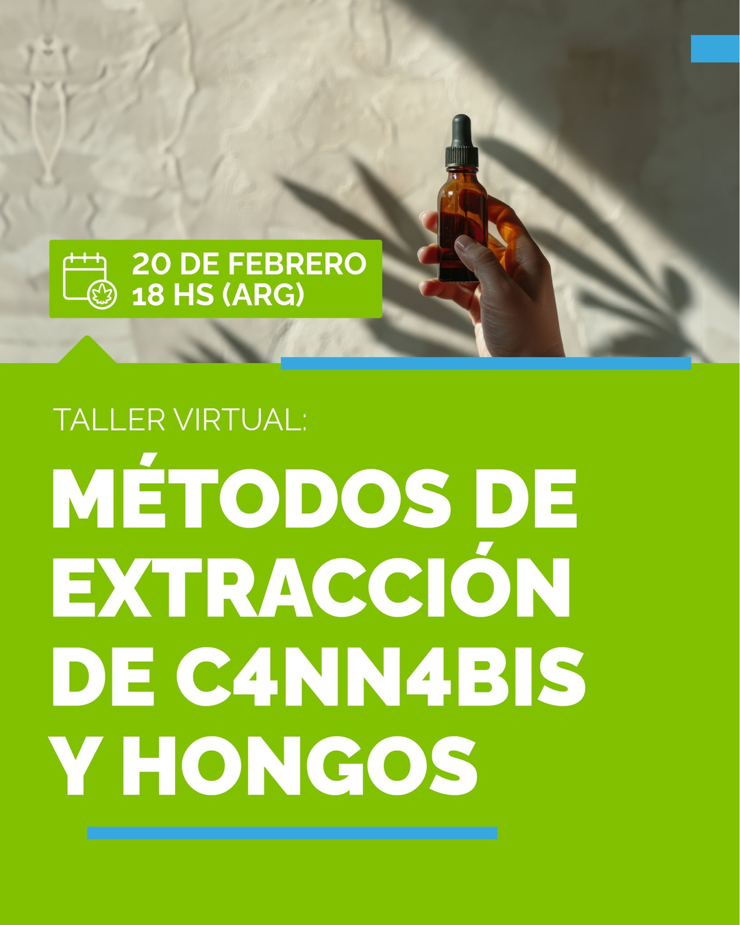 Métodos De Extracción De Cannabis Y Hongos Marimba